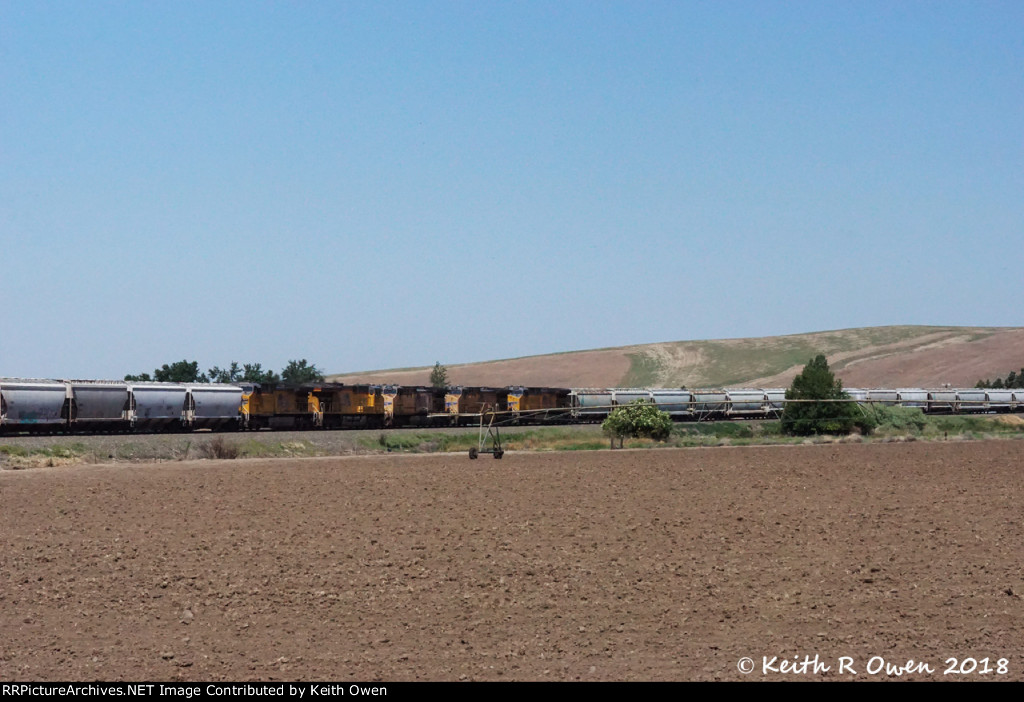 Mid-train DPUs on a Westbound Grain